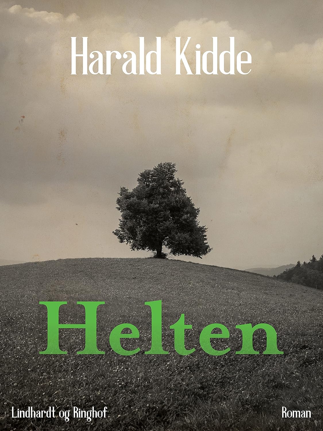 Helten (Danish Edition) - Kindle edition by Kidde, Harald. Literature ...