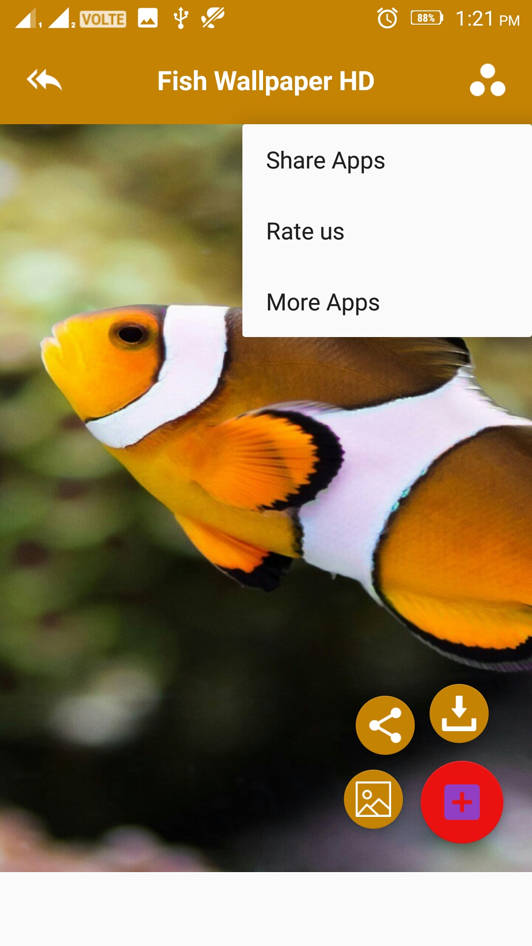 Fish 4k Wallpaper - App on the Amazon Appstore