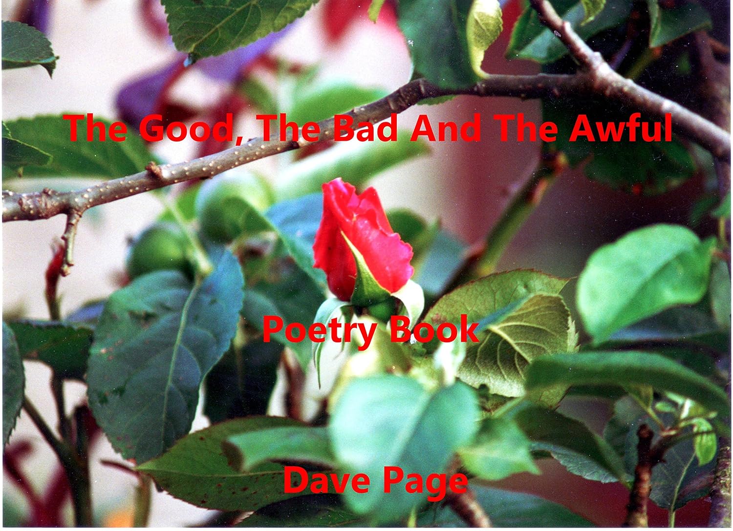 The Good, The Bad And The Awful Poetry Book - Kindle edition by Page ...