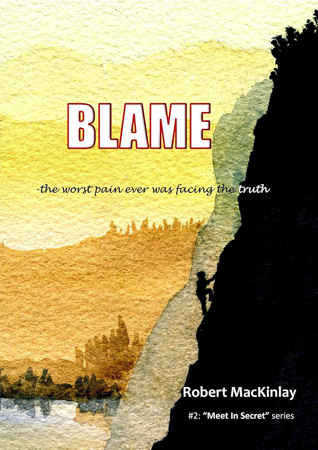 Amazon.com: BLAME: -the worst pain ever was facing the truth (Meet In ...