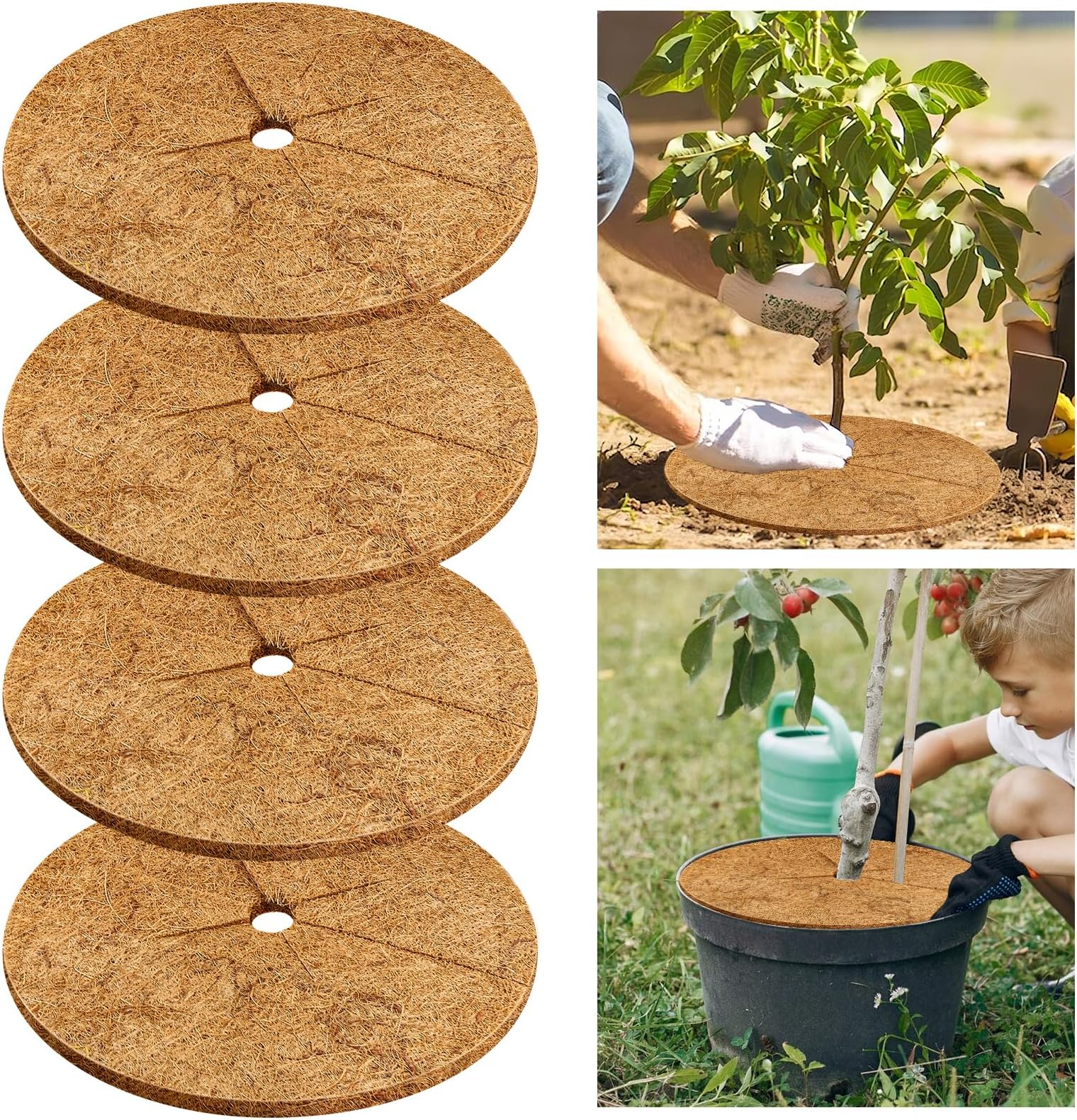 Amazon.com : Legigo 4pcs Coconut Fiber Mulch Ring Tree Plant Protector ...