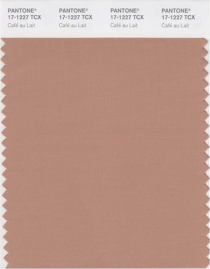 PANTONE Smart 17-1227X Color Swatch Card, Café au Lait - Wall Decor ...