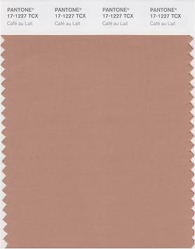 PANTONE Smart 17-1227X Color Swatch Card, Café au Lait - Wall Decor ...