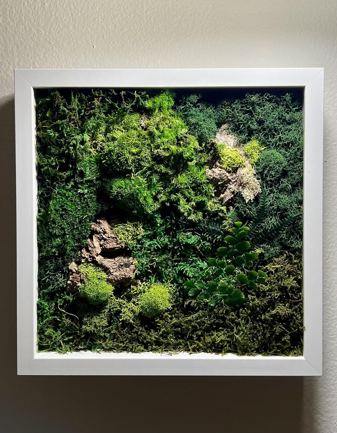 Amazon.com: Unique Moss Wall Art - Preserved Moss Art - Green Wall ...