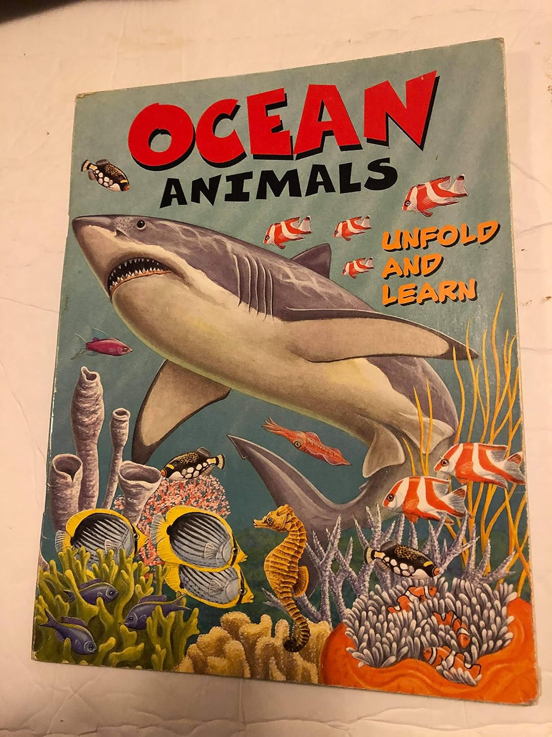 Ocean Animals (Unfold and Learn): unknown author: 9781577554813: Amazon ...