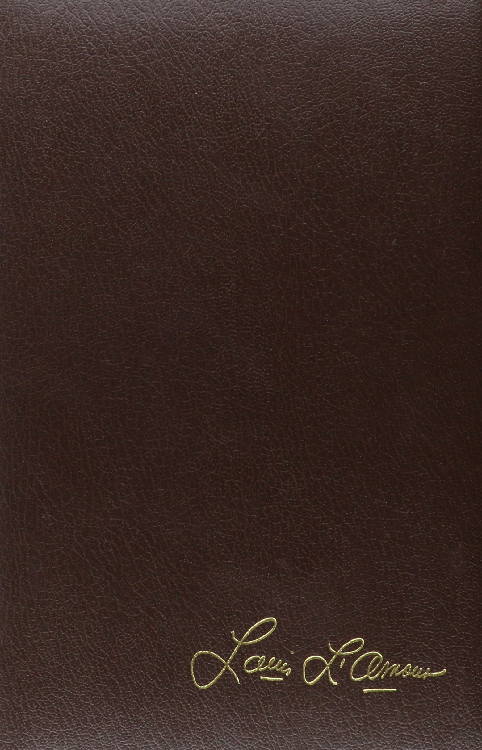 Radigan Louis Lamour Collection: L'Amour, Louis: 9780553062113: Amazon ...