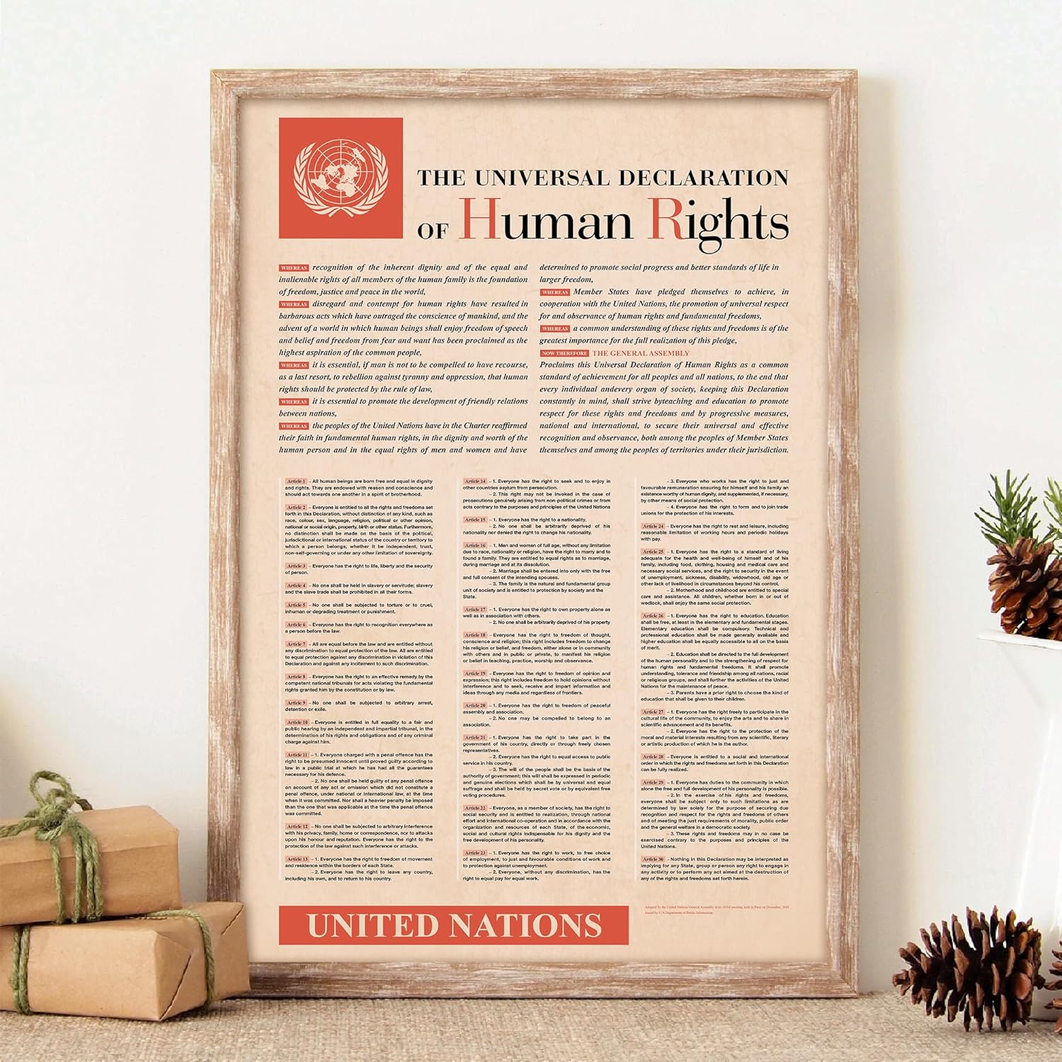 Amazon.com: Kiowin Universal Declaration of Human Rights Poster, UDHR ...