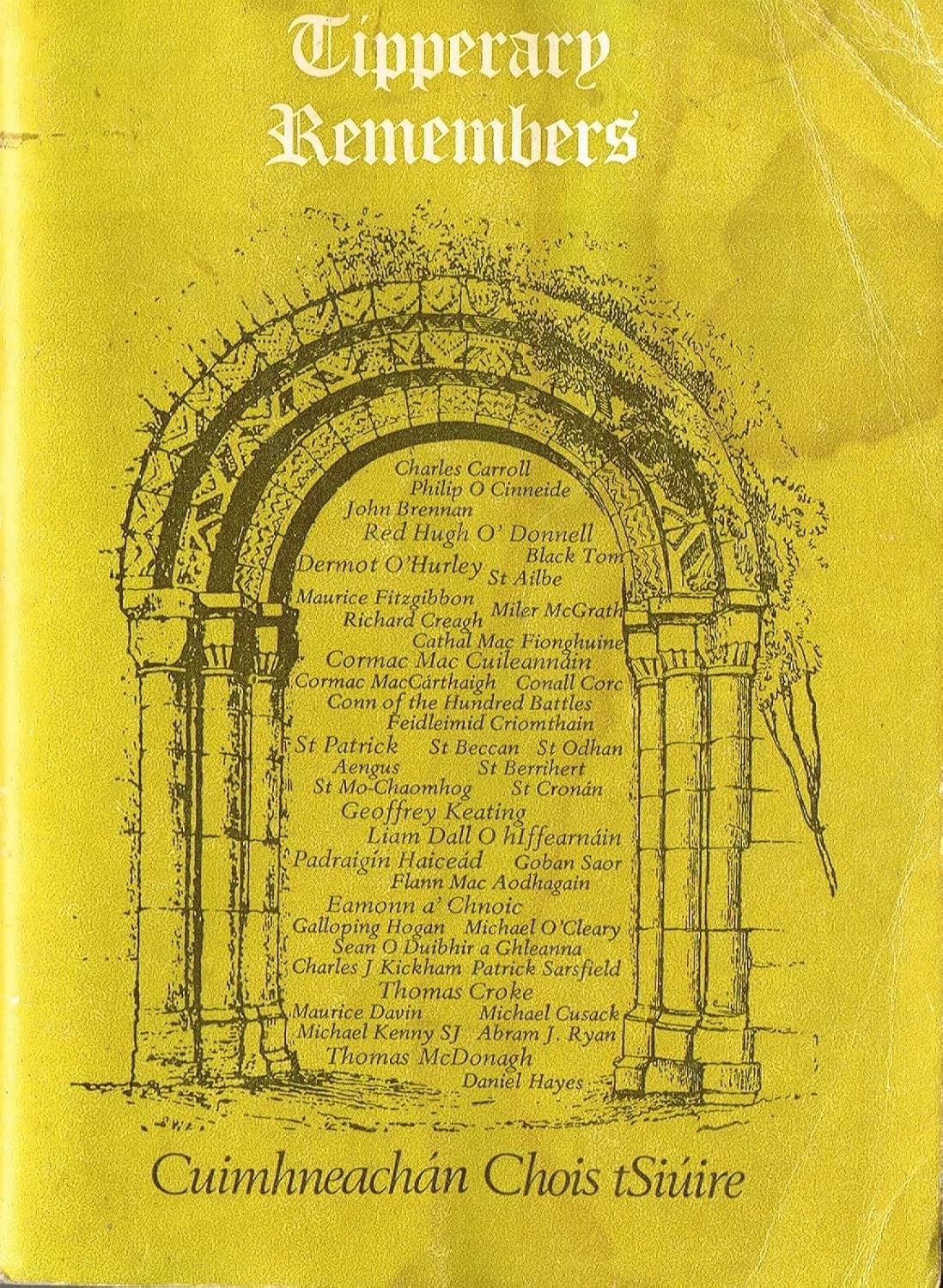 Tipperary Remembers: Cuimhneachán Chois tSiúire: Amazon.co.uk: Rev WJ ...