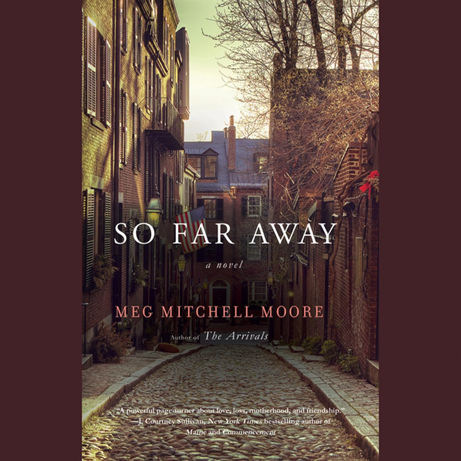 Amazon.com: So Far Away: A Novel (Audible Audio Edition): Meg Mitchell ...