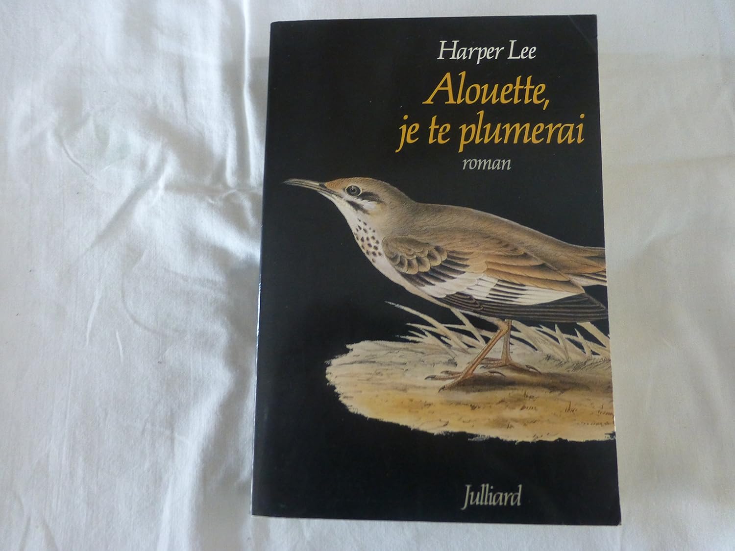 Amazon.com: Alouette, Je Te Plumerai (To Kill a Mockingbird): 9782260006282: Lee, Harper: Books