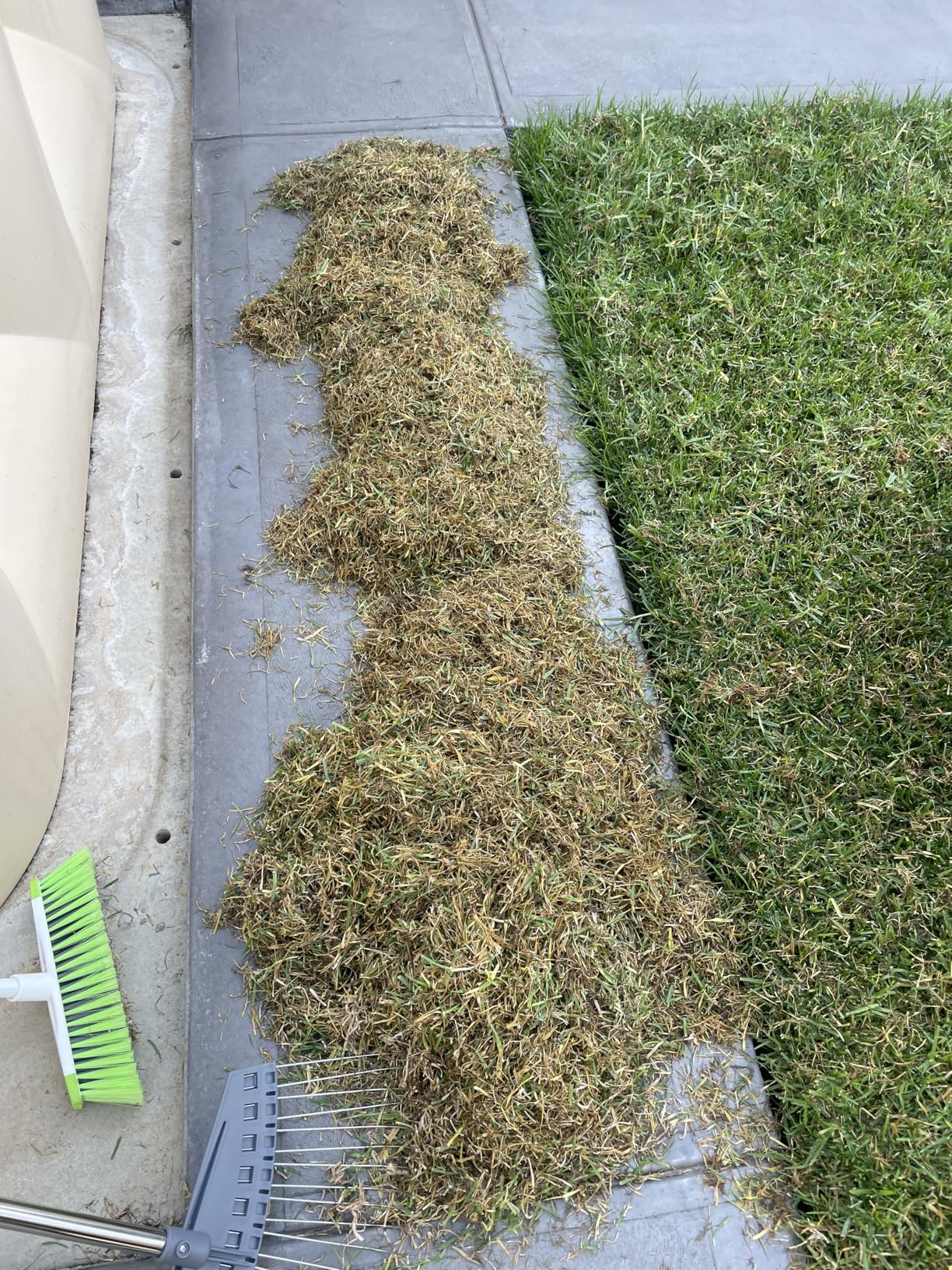 Colwelt Thatch Rake -24 Steel Tines, Dethatching Rakes with 54 ...