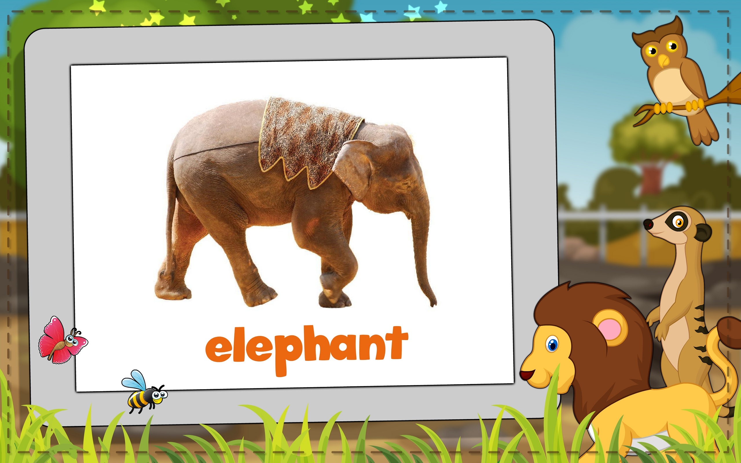 Flash cards for kids - App on Amazon Appstore