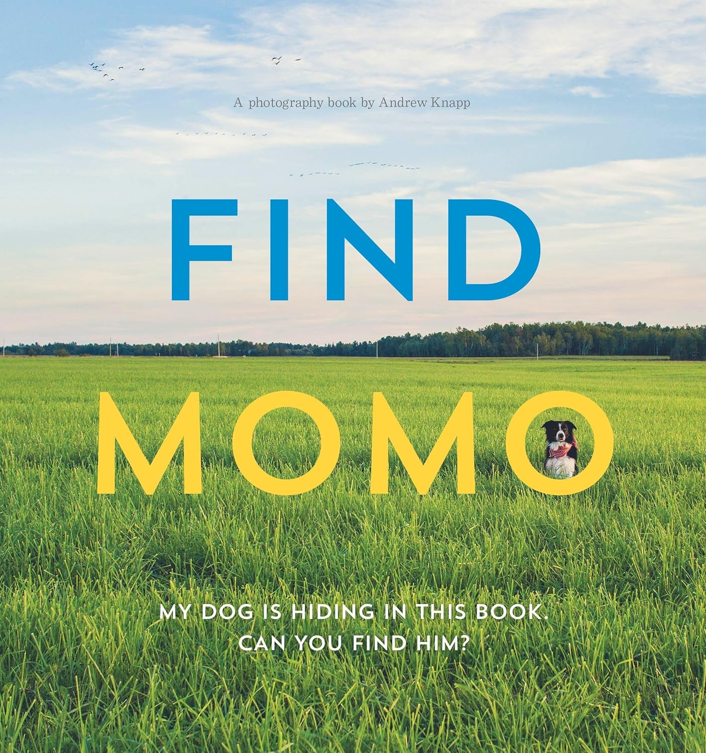Find Momo: A Photography Book: Knapp, Andrew, Knapp, Andrew ...
