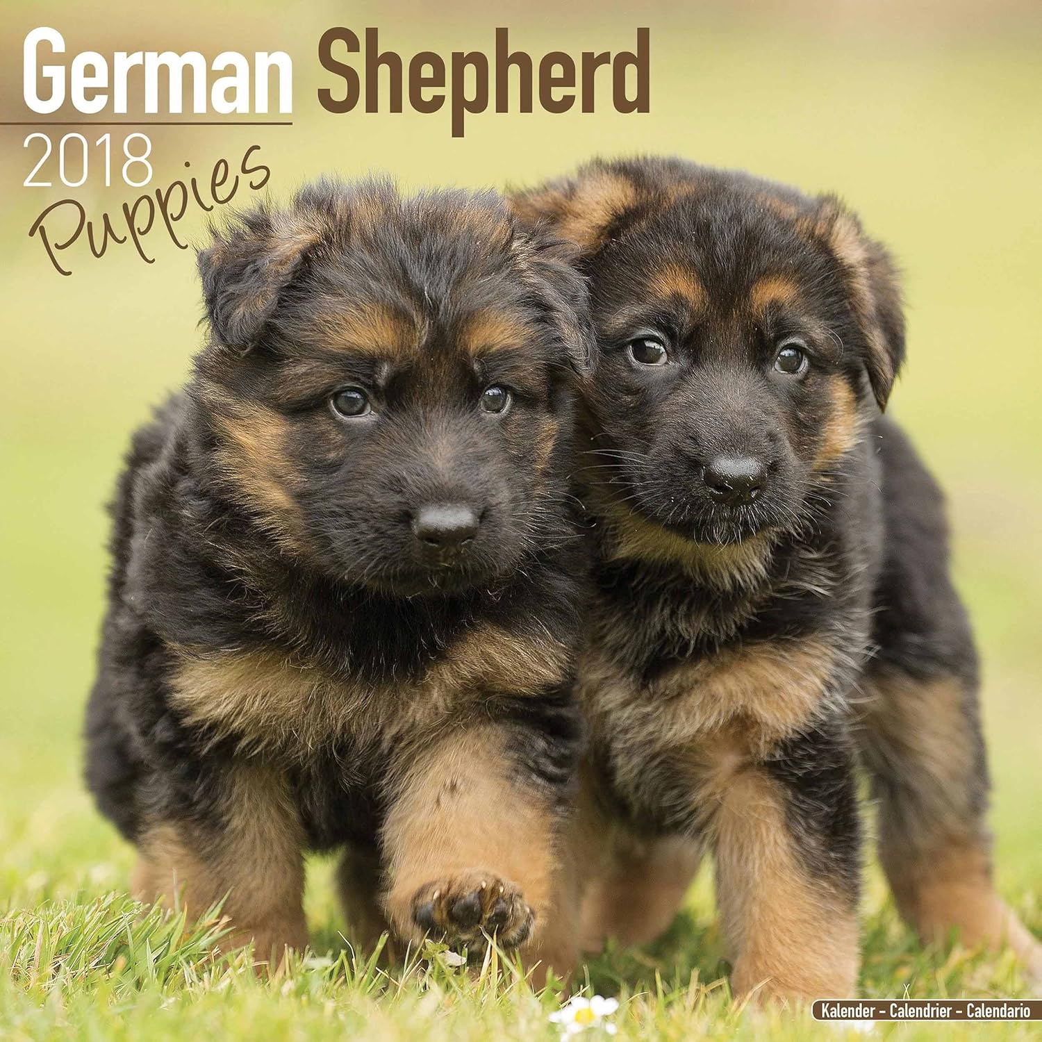 German Shepherd Puppies Calendar - Dog Breed Calendars - 2017 - 2018 ...