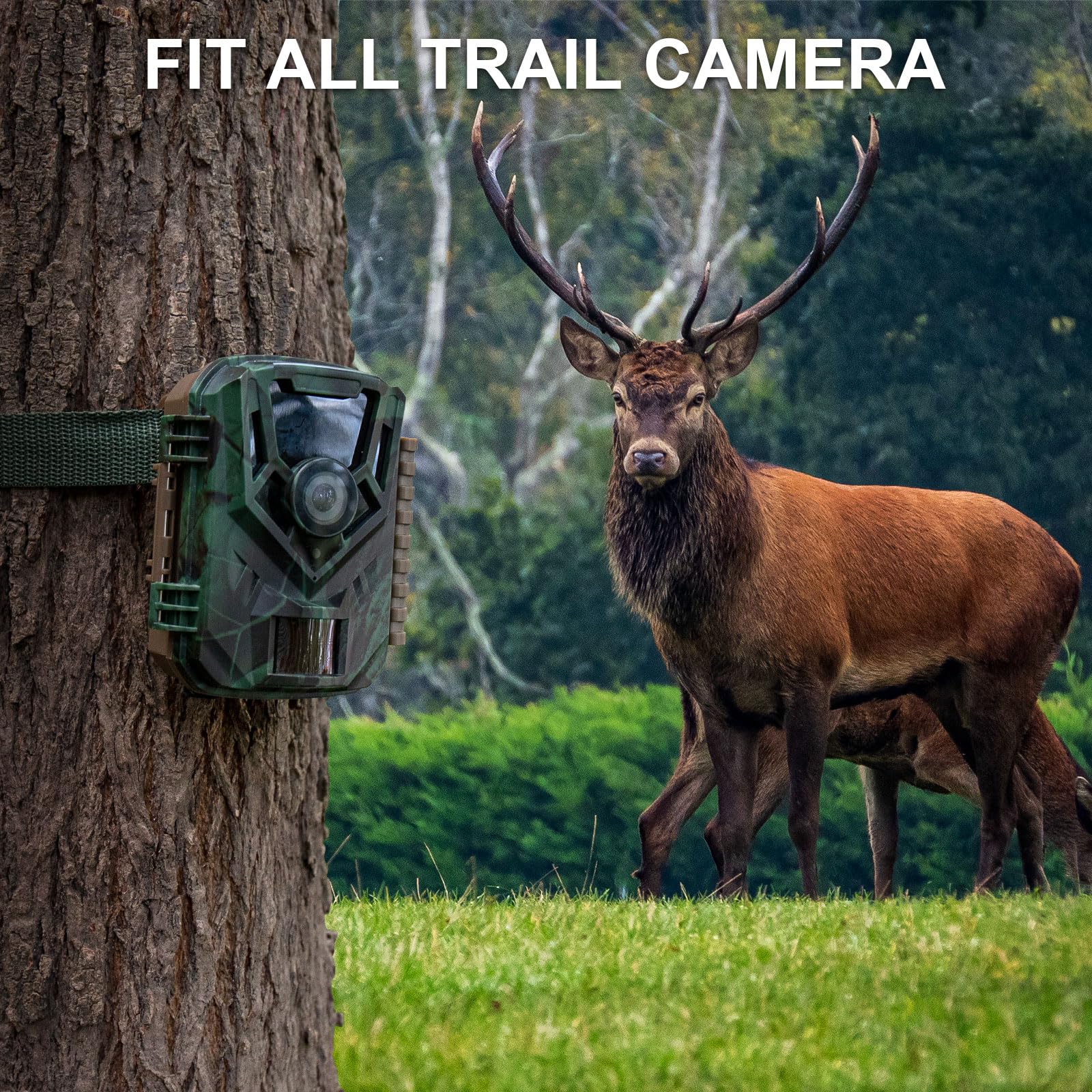 Snapklik.com : KJK 5 Pack Trail Camera Straps