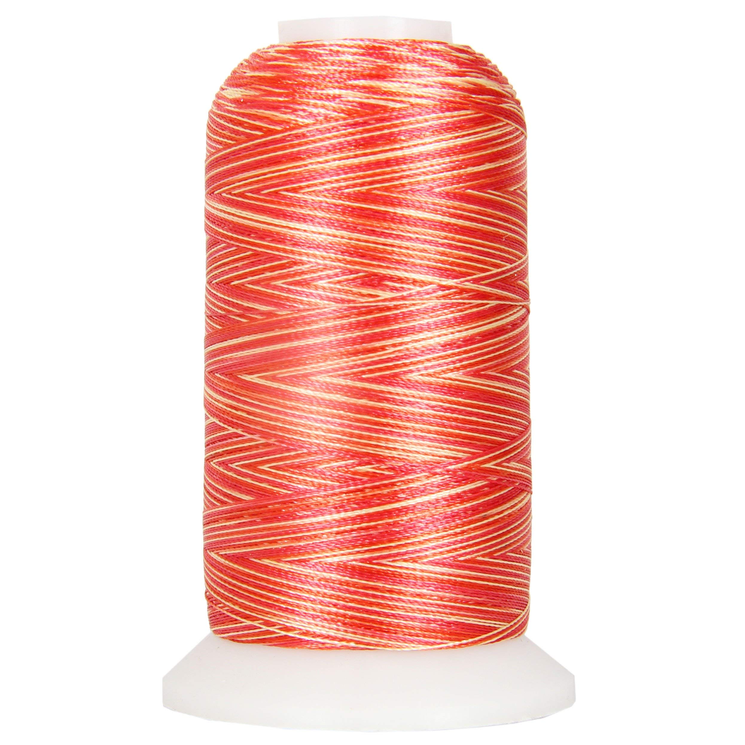 Amazon.com: Variegated Polyester Embroidery Thread by Threadart - 40wt ...
