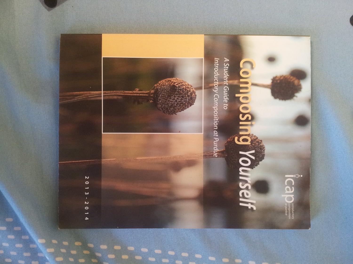 Composing Yourself: A Student Guide to Introductory Composition at ...