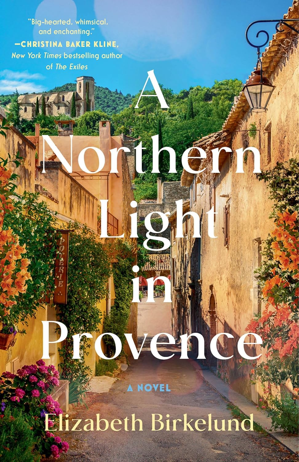 A Northern Light in Provence: A Novel: Birkelund, Elizabeth ...