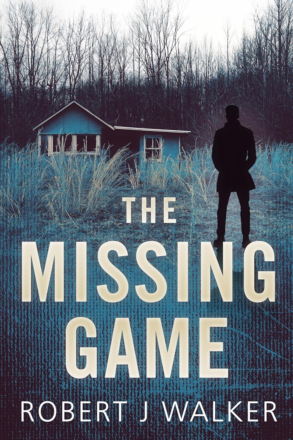 Amazon.com: The Missing Game: A Small Town Kidnapping Mystery Boxset ...