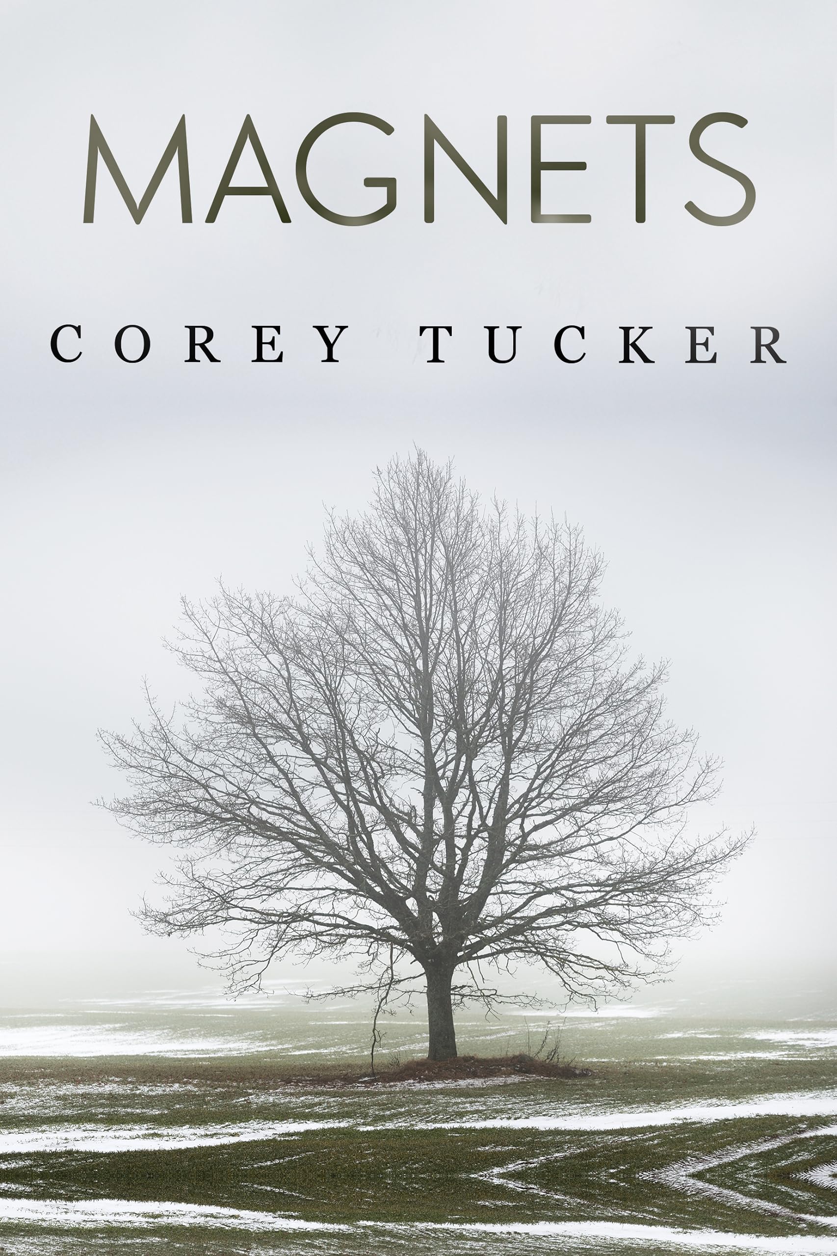 Magnets: Tucker, Corey: 9781804395226: Amazon.com: Books