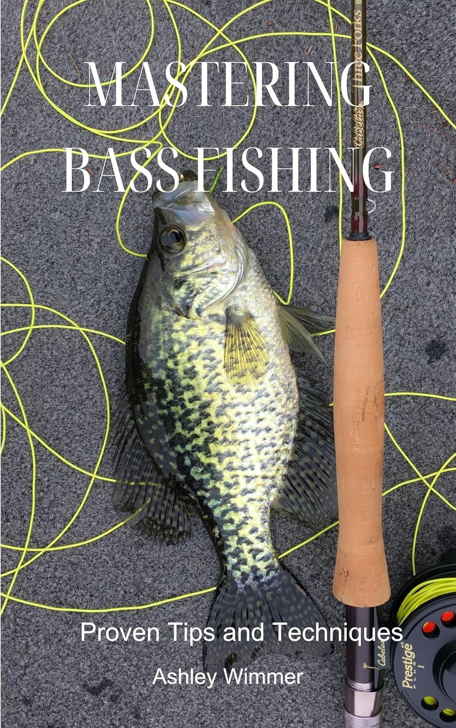Amazon.com: Mastering Bass Fishing: Proven Tips and Techniques eBook ...