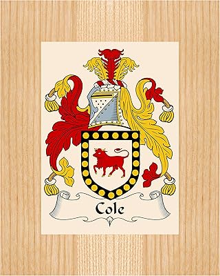 Amazon.com: Carpe Diem Designs Dolan Coat of Arms/Dolan Family Crest ...