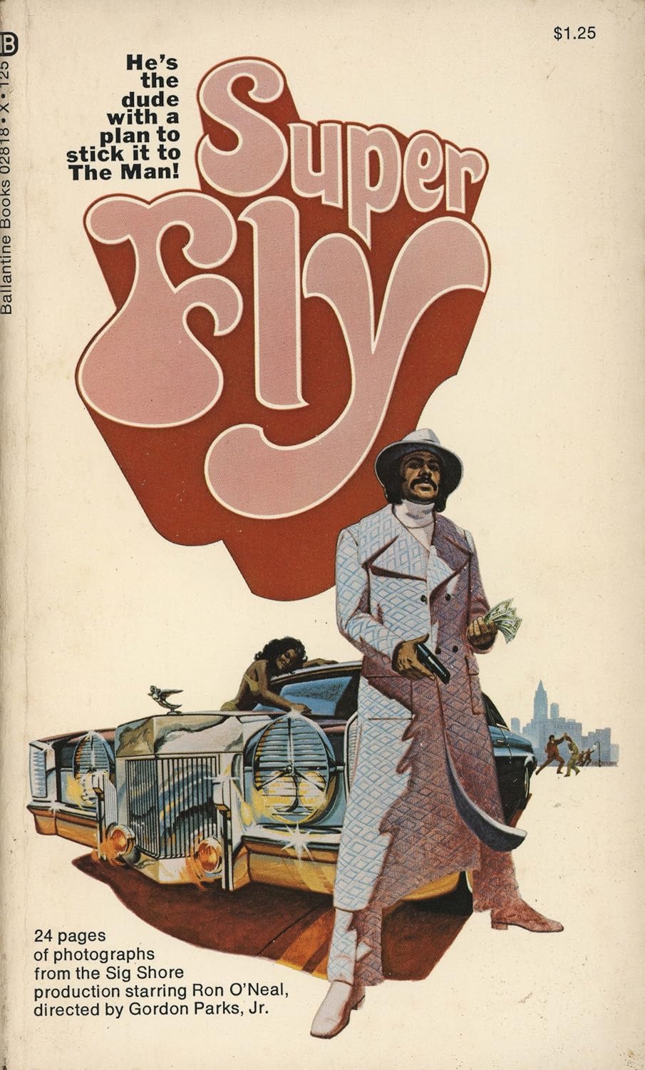 Super Fly: A novelization based on the original screenplay by Philip ...