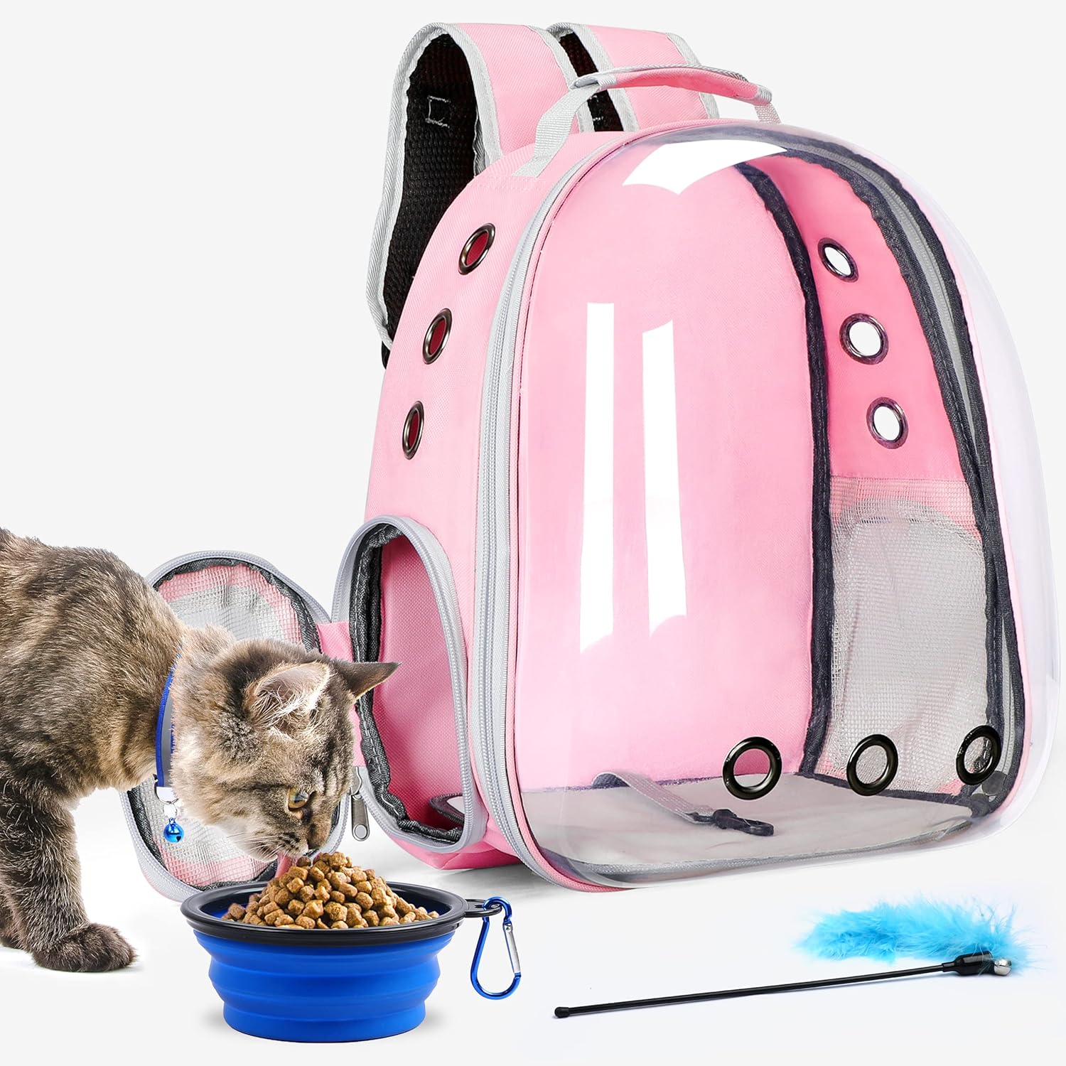Amazon.com : BackyardPet Cat Backpack Carrier Bubble Travel Bag ...