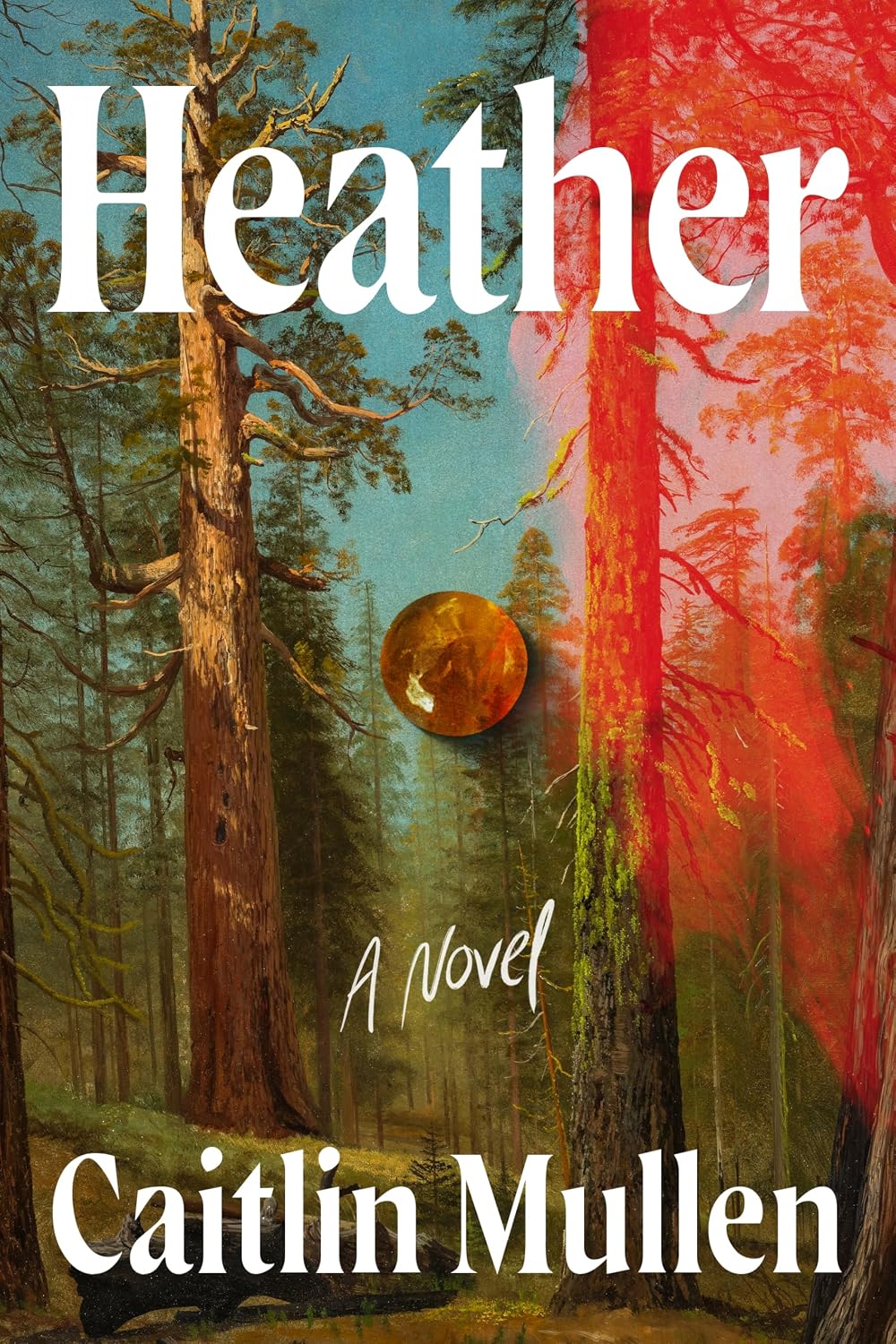 Heather: A Novel: Mullen, Caitlin: 9781250400574: Amazon.com: Books
