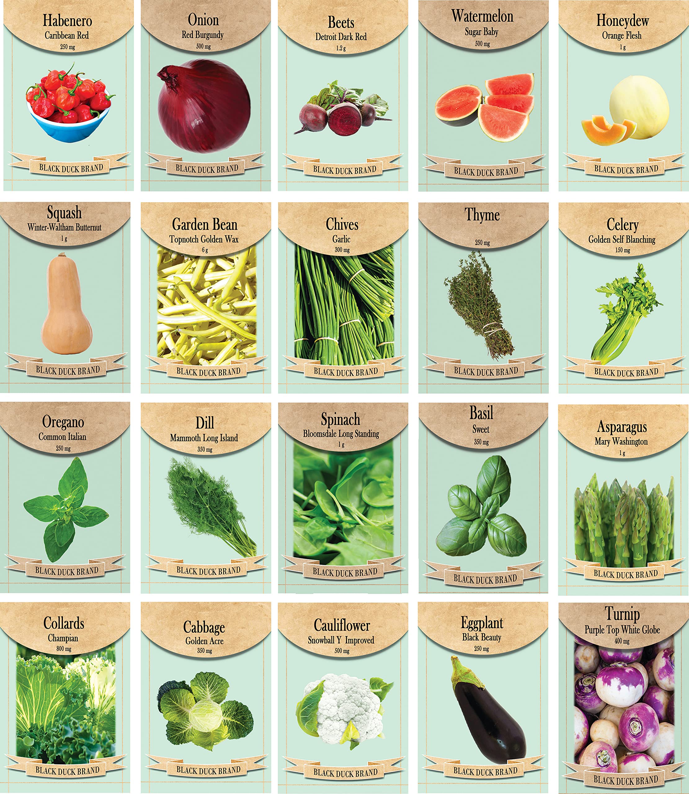 Amazon.com : Set of 20 Assorted Vegetable & Herb Seed Packets - Create ...