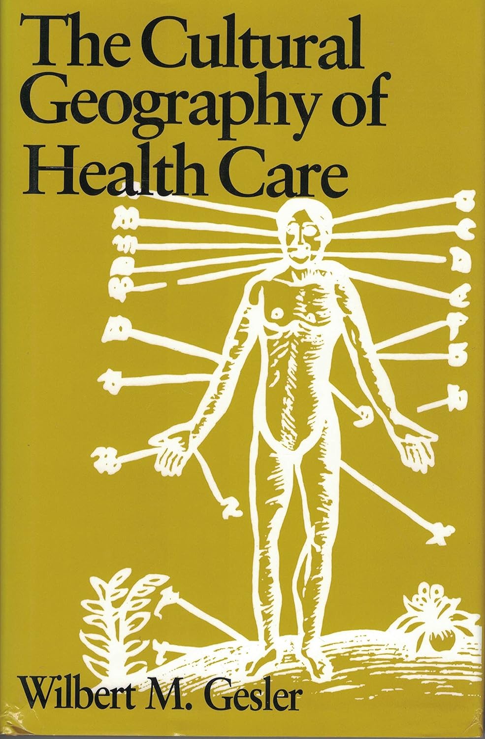 The cultural geography of health care: Wilbert M. Gesler: 9780822936640 ...