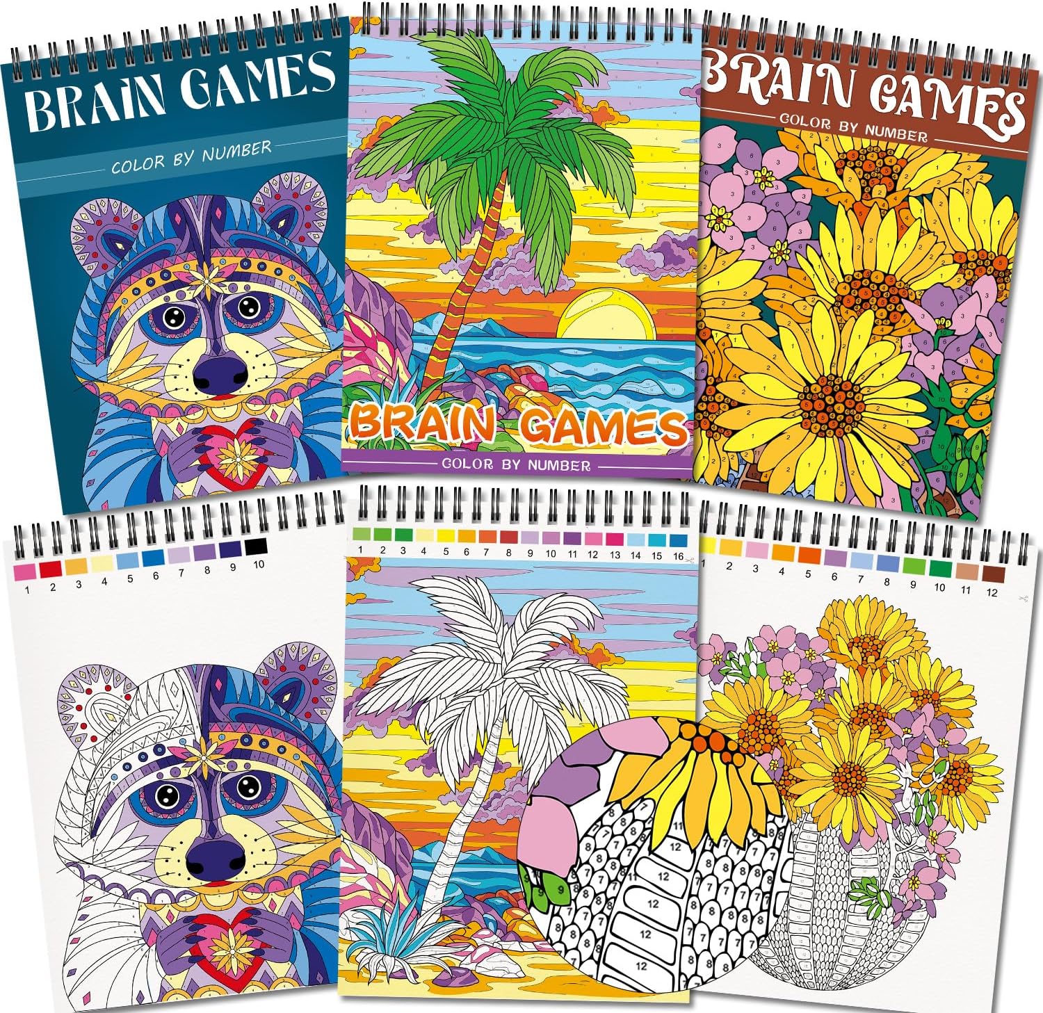 Amazon.com : Adult Coloring Books Value Set - 4 Assorted Coloring Books ...