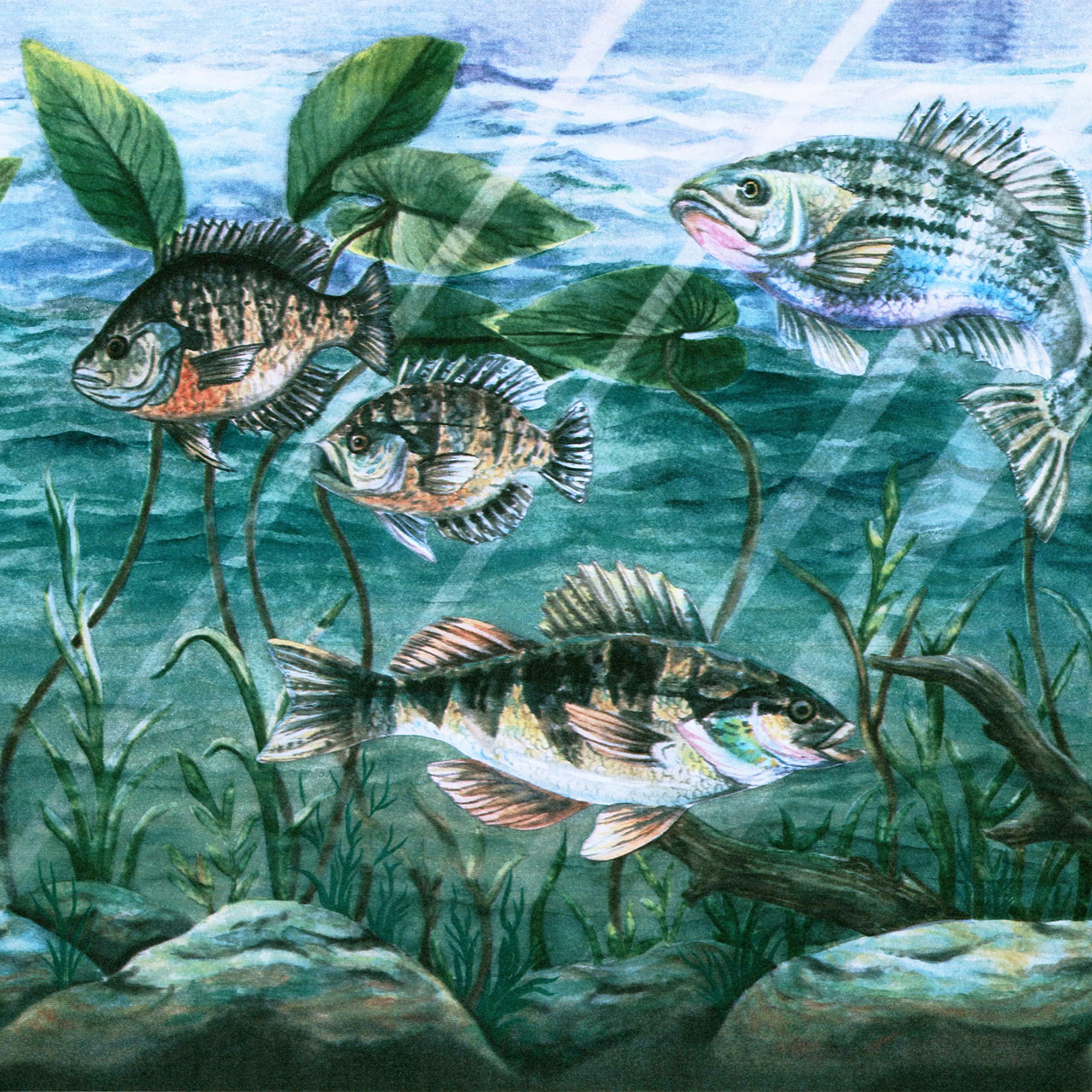 Chesapeake HTM48441B Guppy Wheat Fresh Catch Signs Wallpaper Border ...