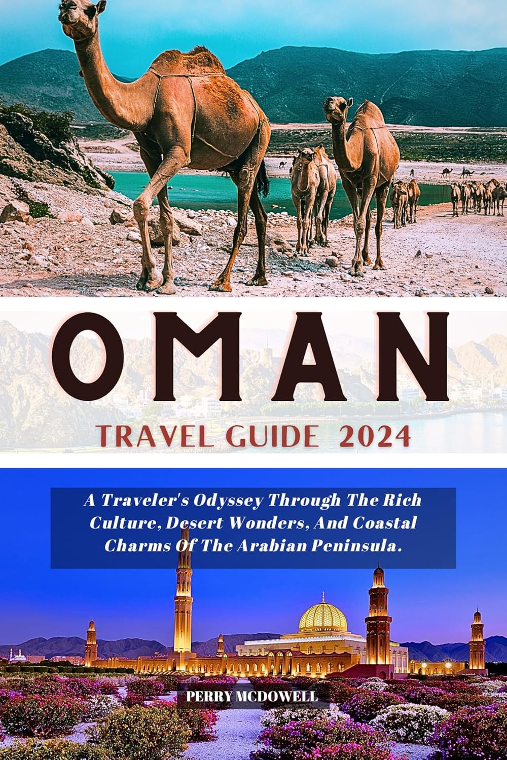 Amazon.com: OMAN TRAVEL GUIDE 2024: A Traveler's Odyssey Through The ...