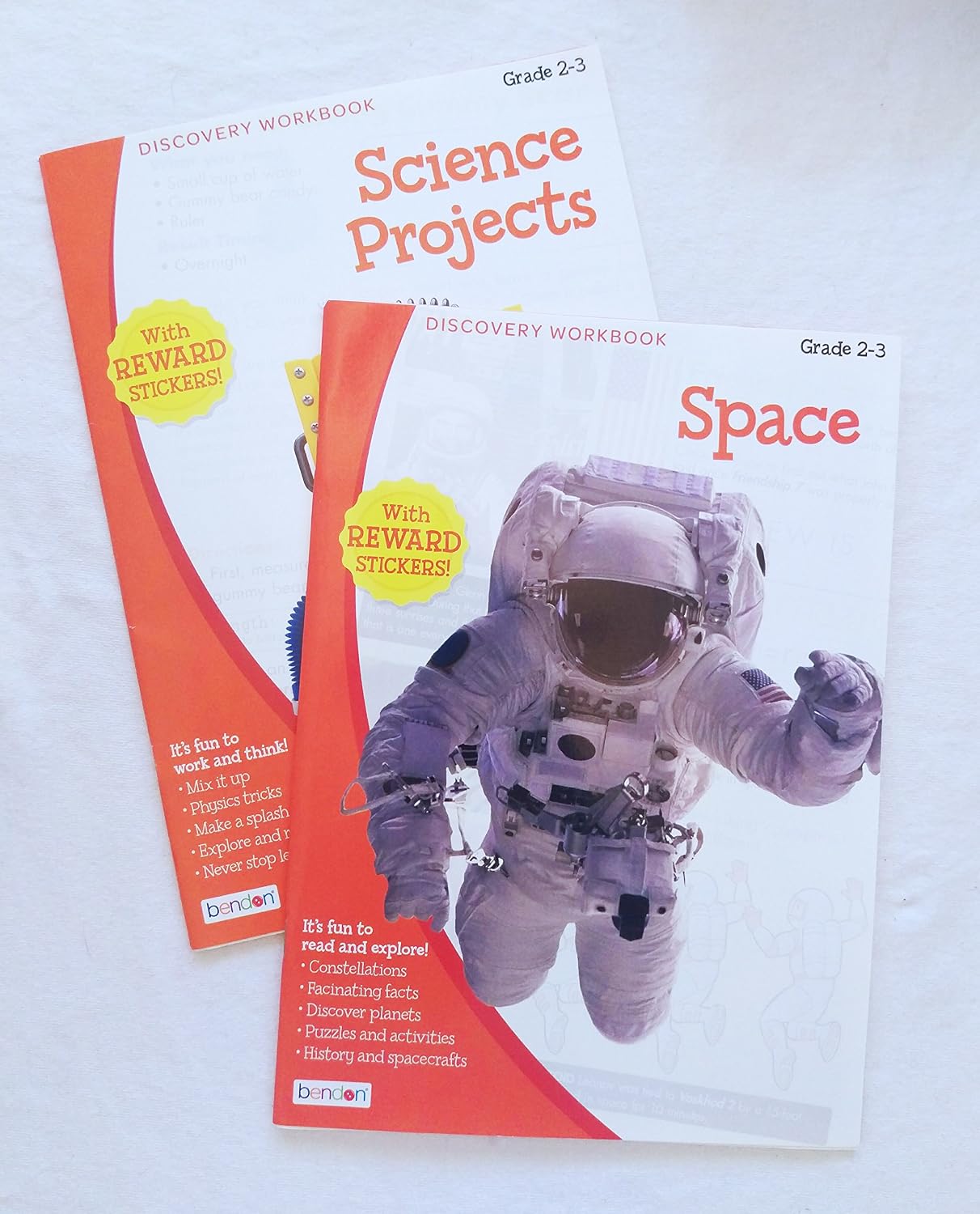 Discovery Workbooks for Grade 2- 3 Science: Space & Science Projects ...