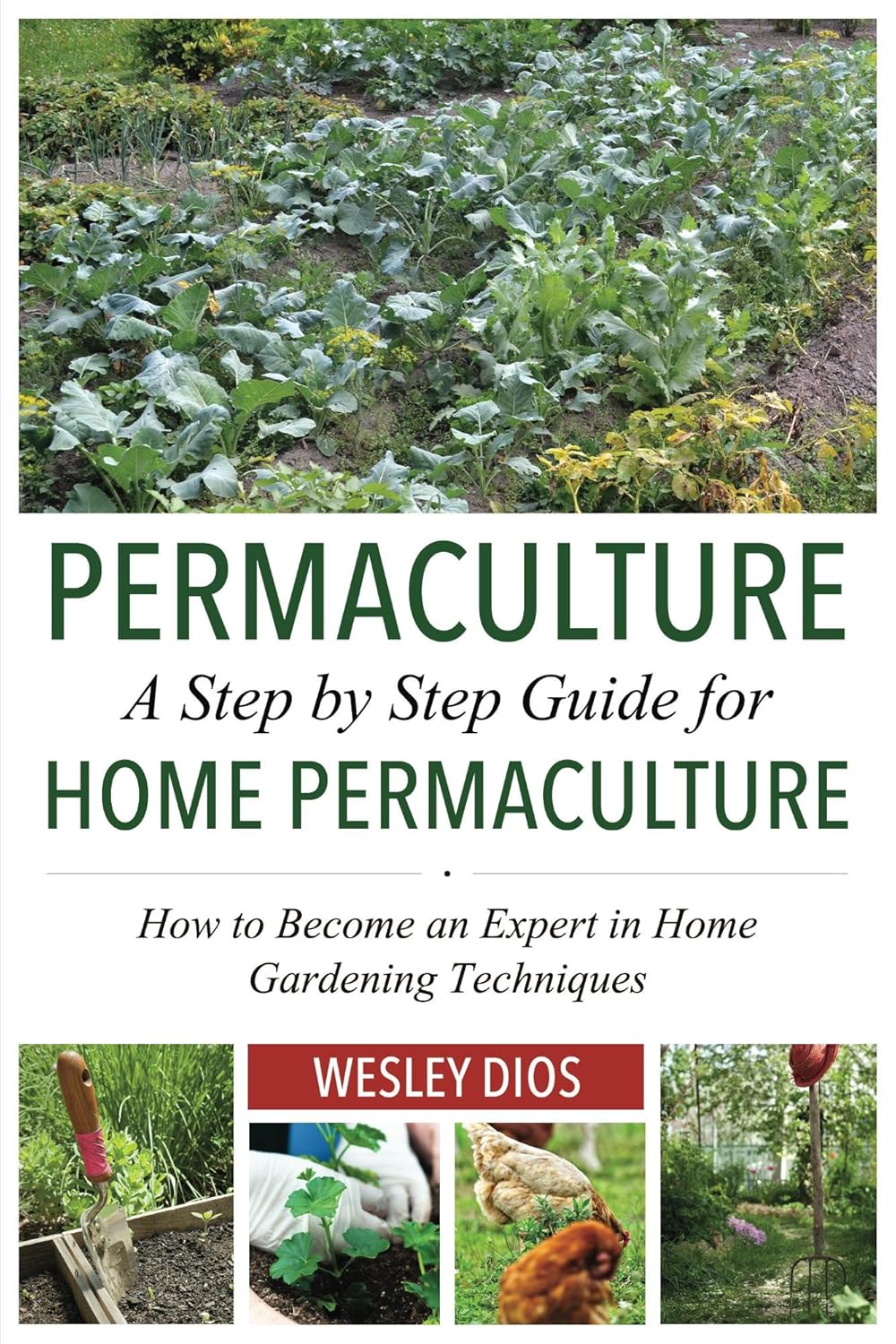 Amazon.com: Permaculture: A Step by Step Guide For Home Permaculture ...