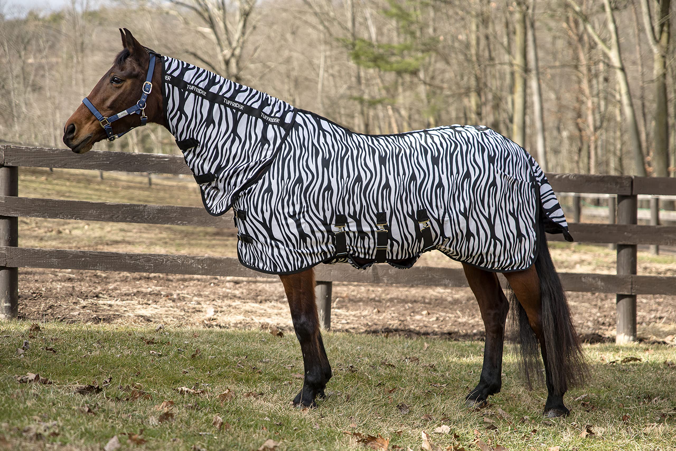 Amazon.com: TuffRider Comfy Plus Combo Fly Sheet 75 Zebra : Pet Supplies