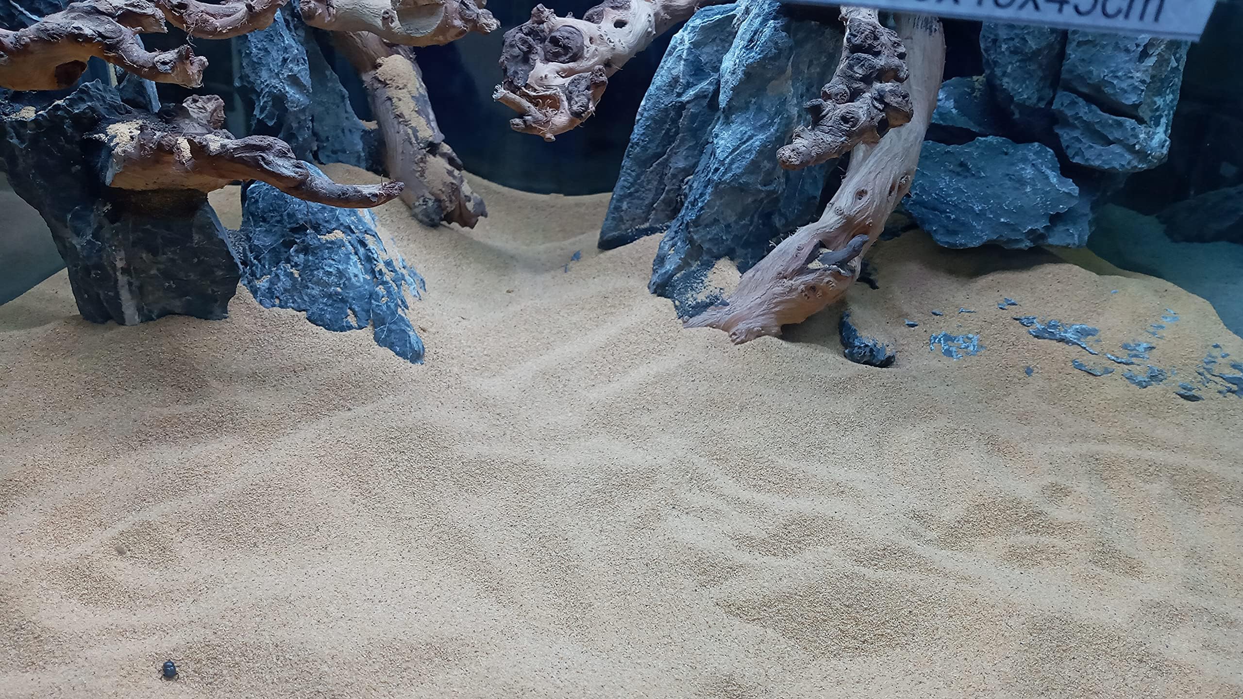 Aquaforest AF Bio Sand 7.5kg : Amazon.in: Pet Supplies