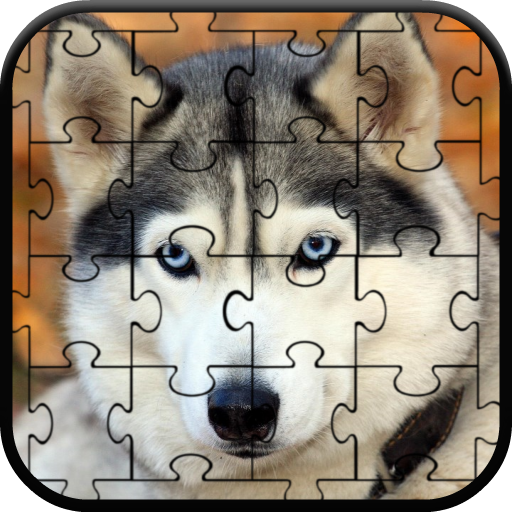 Husky Jigsaw Puzzle - App on the Amazon Appstore