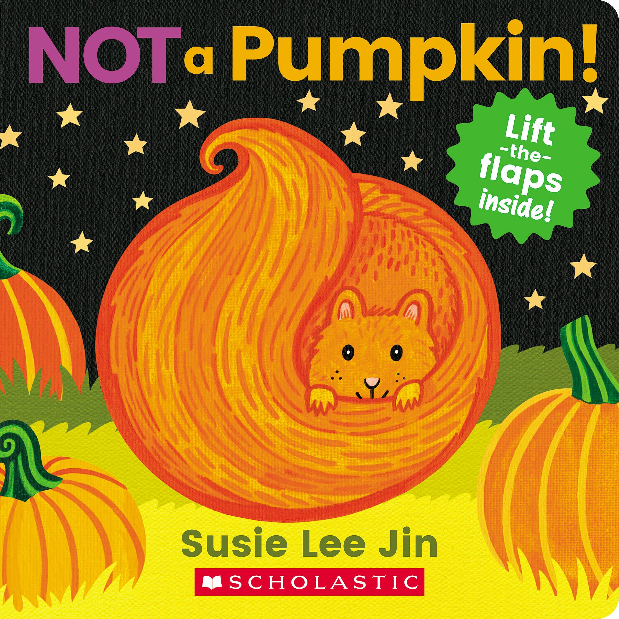 Amazon.com: Not a Pumpkin! (A Lift-the-Flap Book): 9781338812534: Jin ...