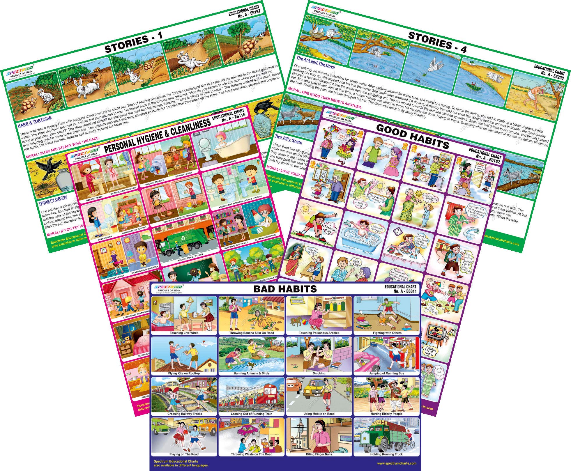 Buy Spectrum Mirror Coat Educational Charts (Set of 5) : Set 24 ...
