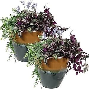 Amazon.com : Sunnydaze Resort Ceramic Flower Pot Planter with Drainage Holes - Set of 2 - High ...