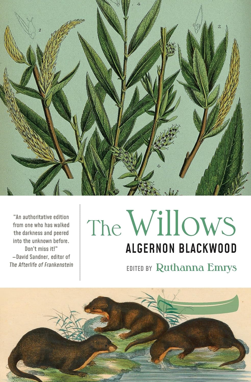 The Willows: Blackwood, Algernon, Emrys, Ruthanna: 9781941360835 ...
