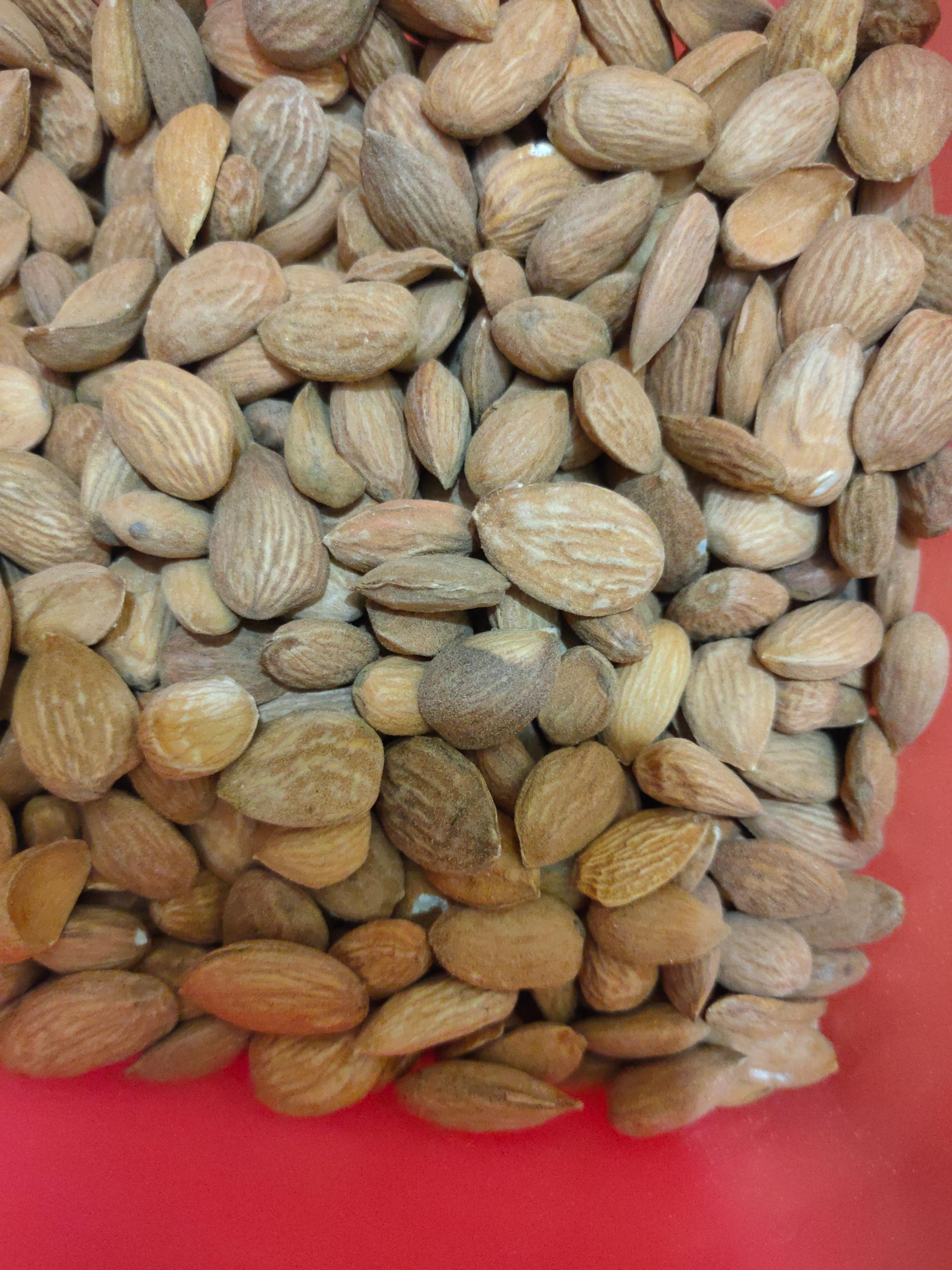 Ayoub Khan's Afghan Almonds Choti Giri Gurbandi Badam (500 g) (Pack of ...