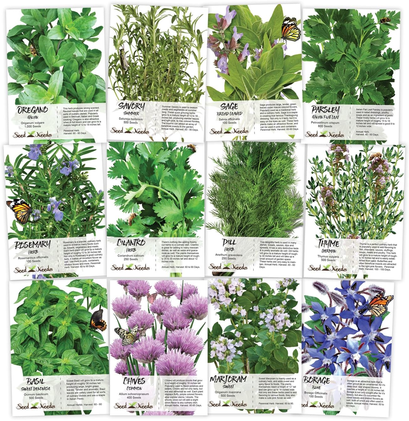 Amazon.com : Non-GMO Culinary Herb Seed Collection, 12 Individual Seed ...