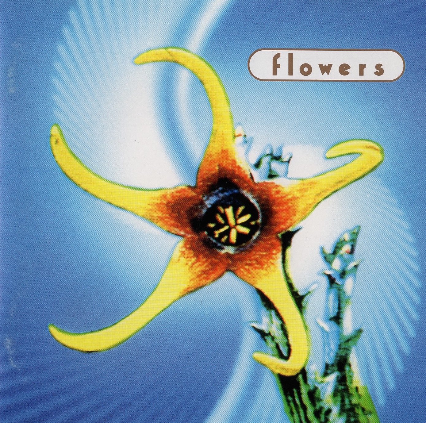 FLOWERS: Amazon.de: Musik-CDs & Vinyl