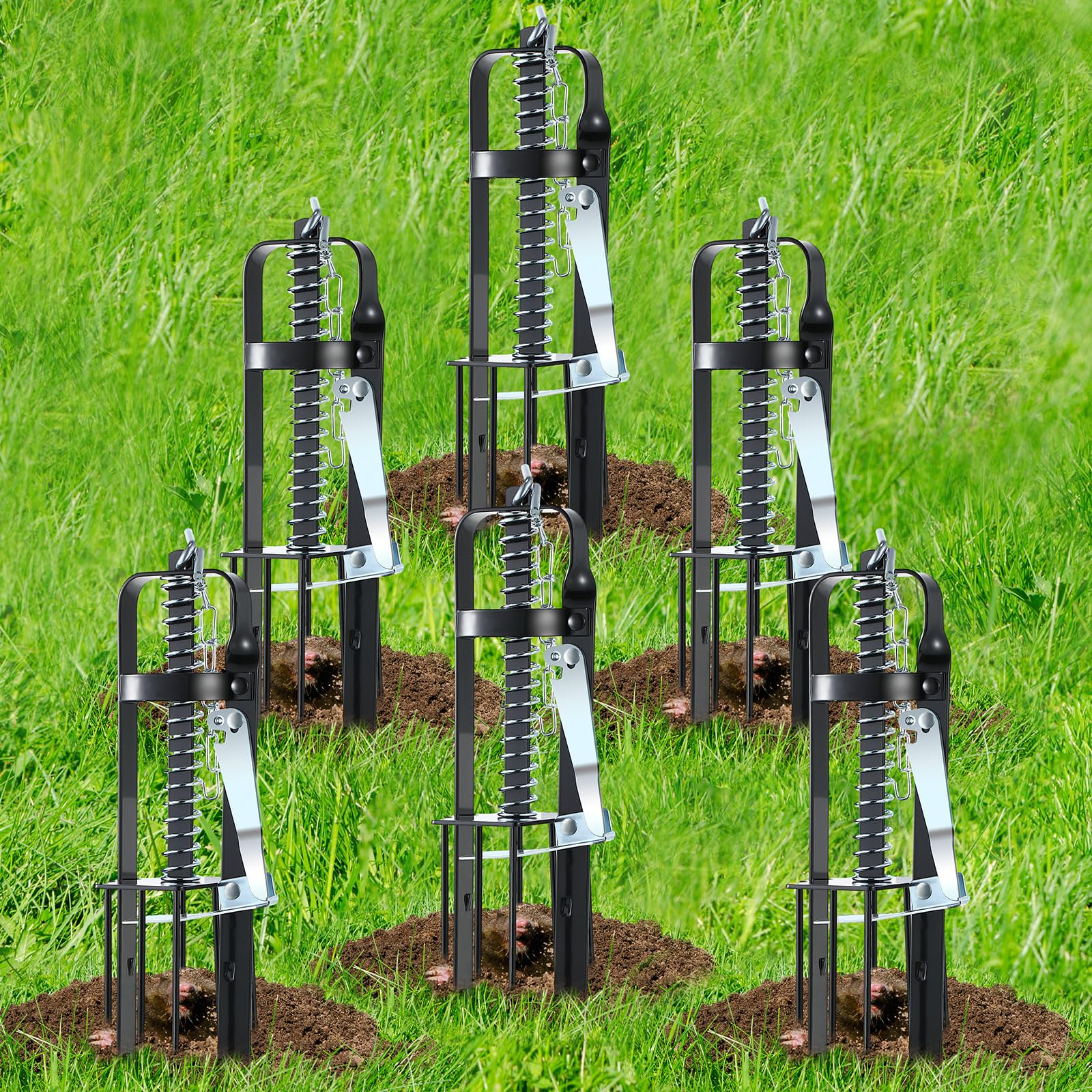 Amazon.com : Qualirey 6 Pc Mole Trap for Lawns, Spear Style Mole Killer ...