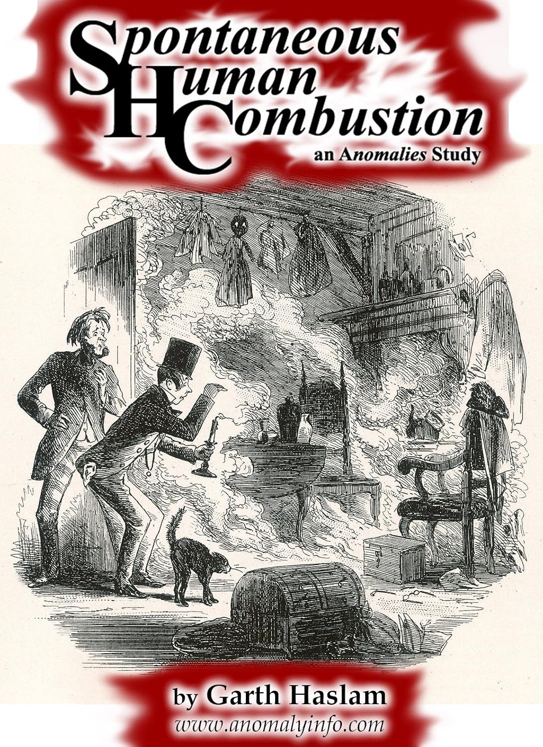 Spontaneous Human Combustion: A Brief History: An Anomalies Study eBook ...