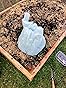 Amazon.com : Geetery 3 Pcs Gardener Insulating Plant Protector Early ...