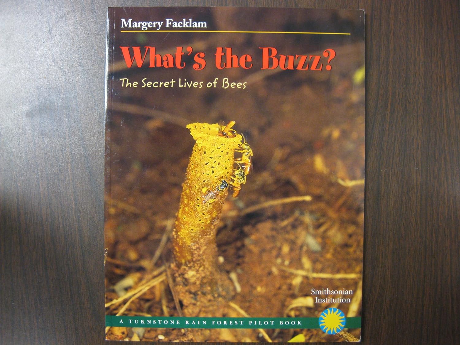 What's the buzz?: The secret lives of bees (A Turnstone rain forest ...